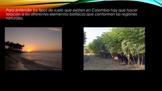 CARACTERISTICAS Y USO DE SUELOS . REGION ATLANTICA | PPT
