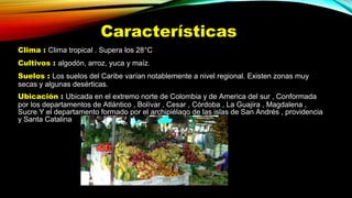 CARACTERISTICAS Y USO DE SUELOS . REGION ATLANTICA | PPT