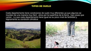 CARACTERISTICAS Y USO DE SUELOS . REGION ATLANTICA | PPT