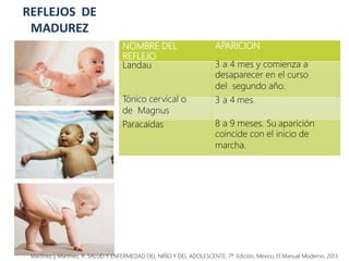 Caracteristicas anatomofisiologicas | PPTX