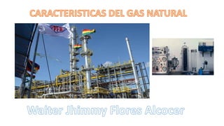 Caracteristicas de gas natural | PDF