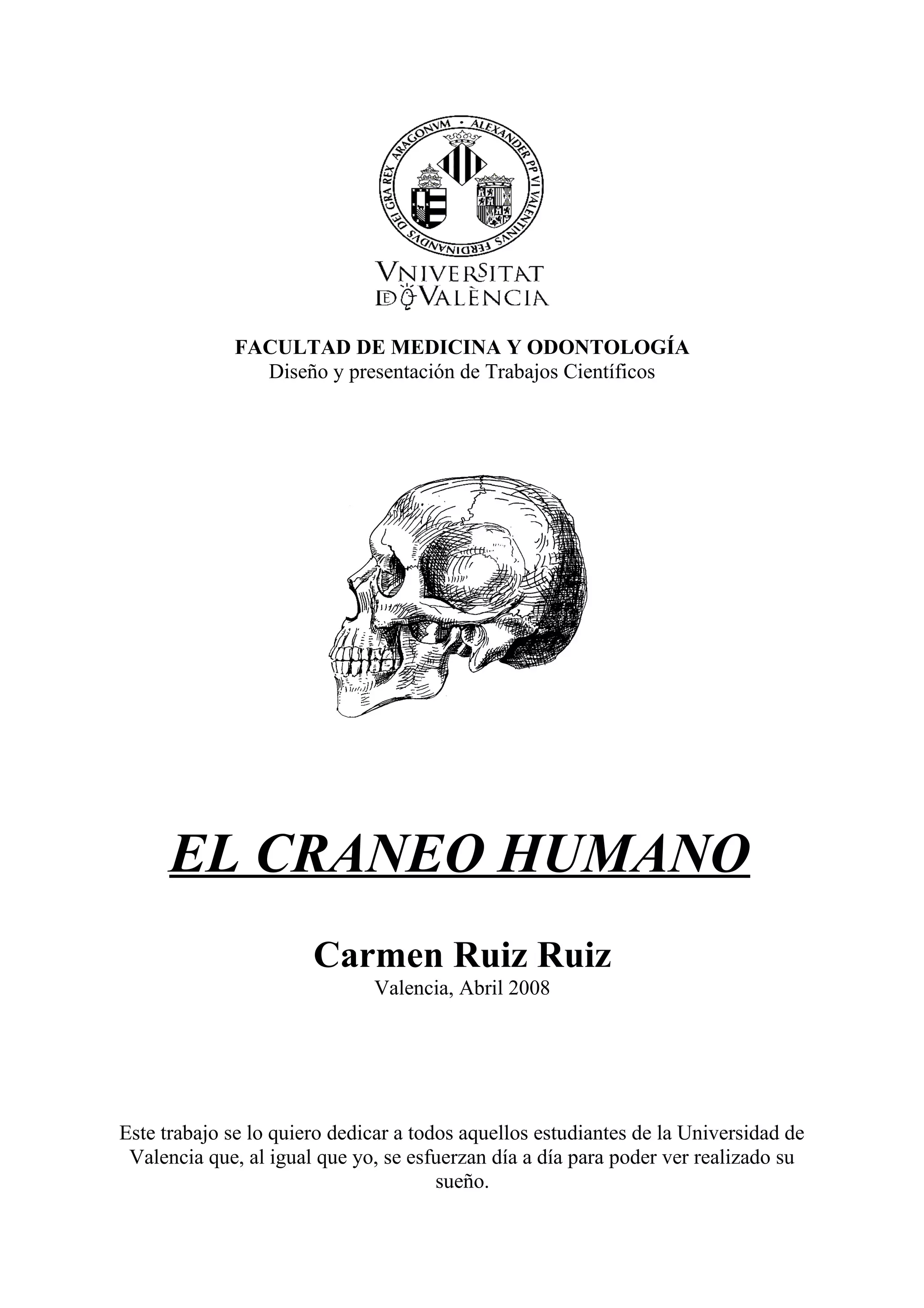 Huesos Del Craneo