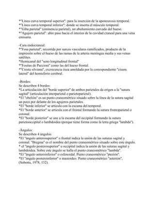 Caracteristicas del craneo | DOC
