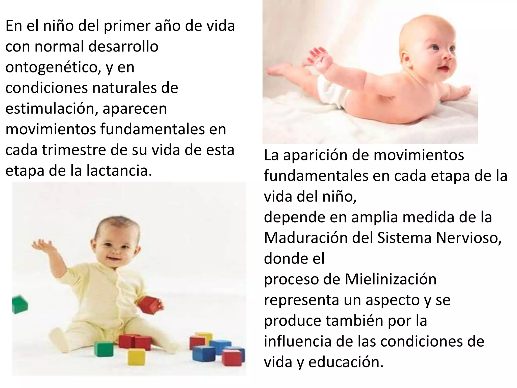 Caracteristicas del desarrollo motriz | PPTX