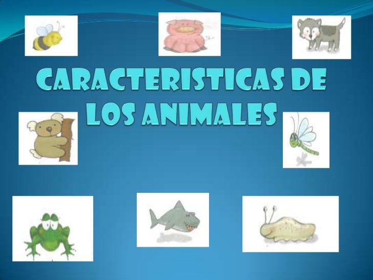 Caracteristicas De Los Animales