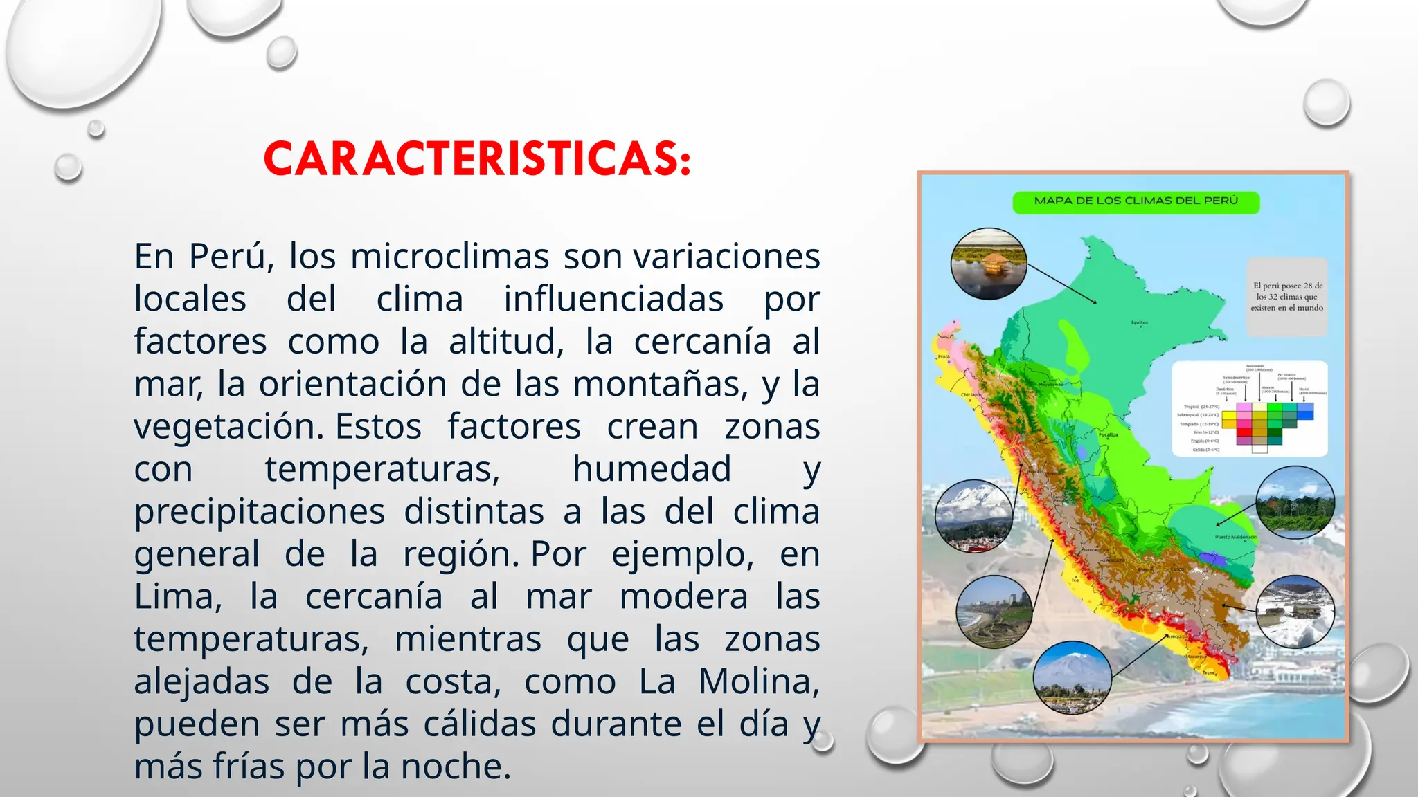 CARACTERISTICAS DE LOS MICROCLIMAS DEL PERU.pptx