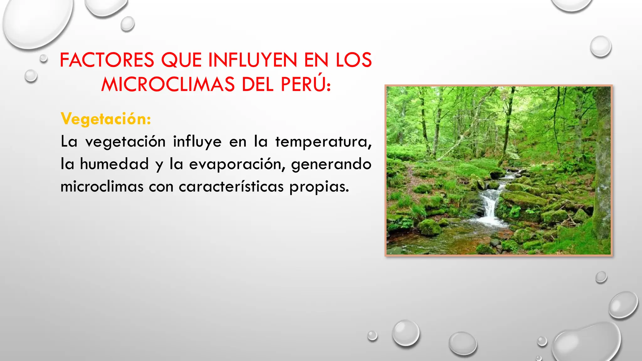CARACTERISTICAS DE LOS MICROCLIMAS DEL PERU.pptx