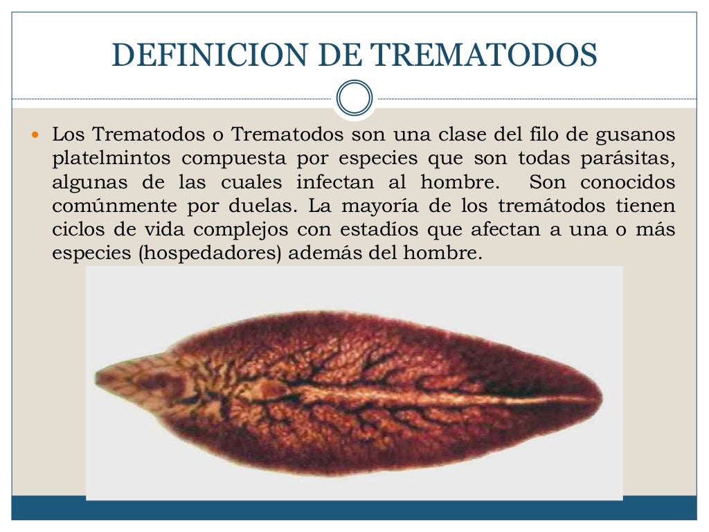 Caracteristicas de los trematodos