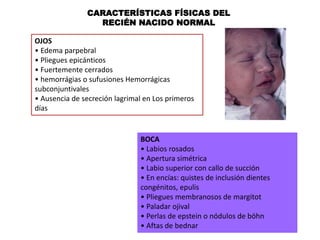 Caracteristicas del recien nacido | PPTX