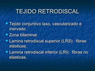 Caracteristicas del Aparato estomatognático | PPT