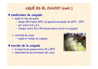 Caracteristicas distintos tipos_de_cuajos | PDF