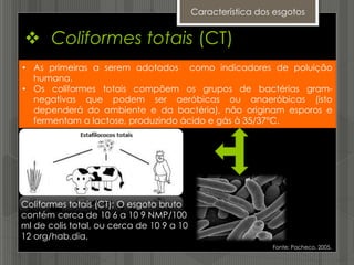 Caracteristicas dos esgostos | PDF