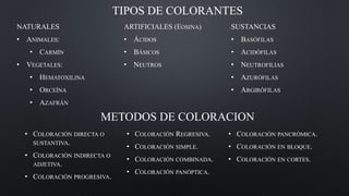 CARACTERISTICAS GENERALES DEL METODO POST-MORTEN MEDIATO.pptx
