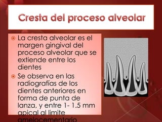 Caracteristicas normales de las estructuras dentarias | PPTX