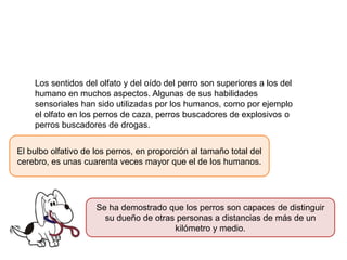 Bull Terrier | PPTX