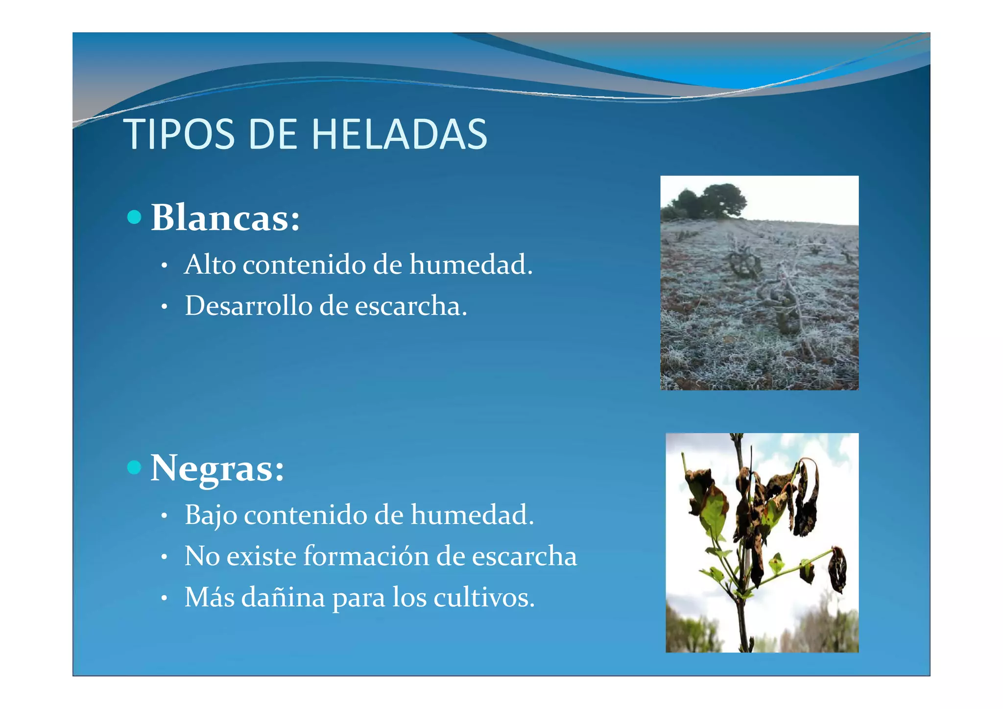 Caracteristicas y tipos de heladas | PDF