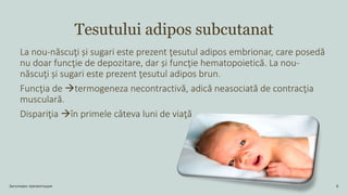 Caracteristicile.pptxSFDXHCGKJGVHBJNKMLNKML,D | PPTX