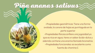 Caracterización de la piña en pdf clases | PDF