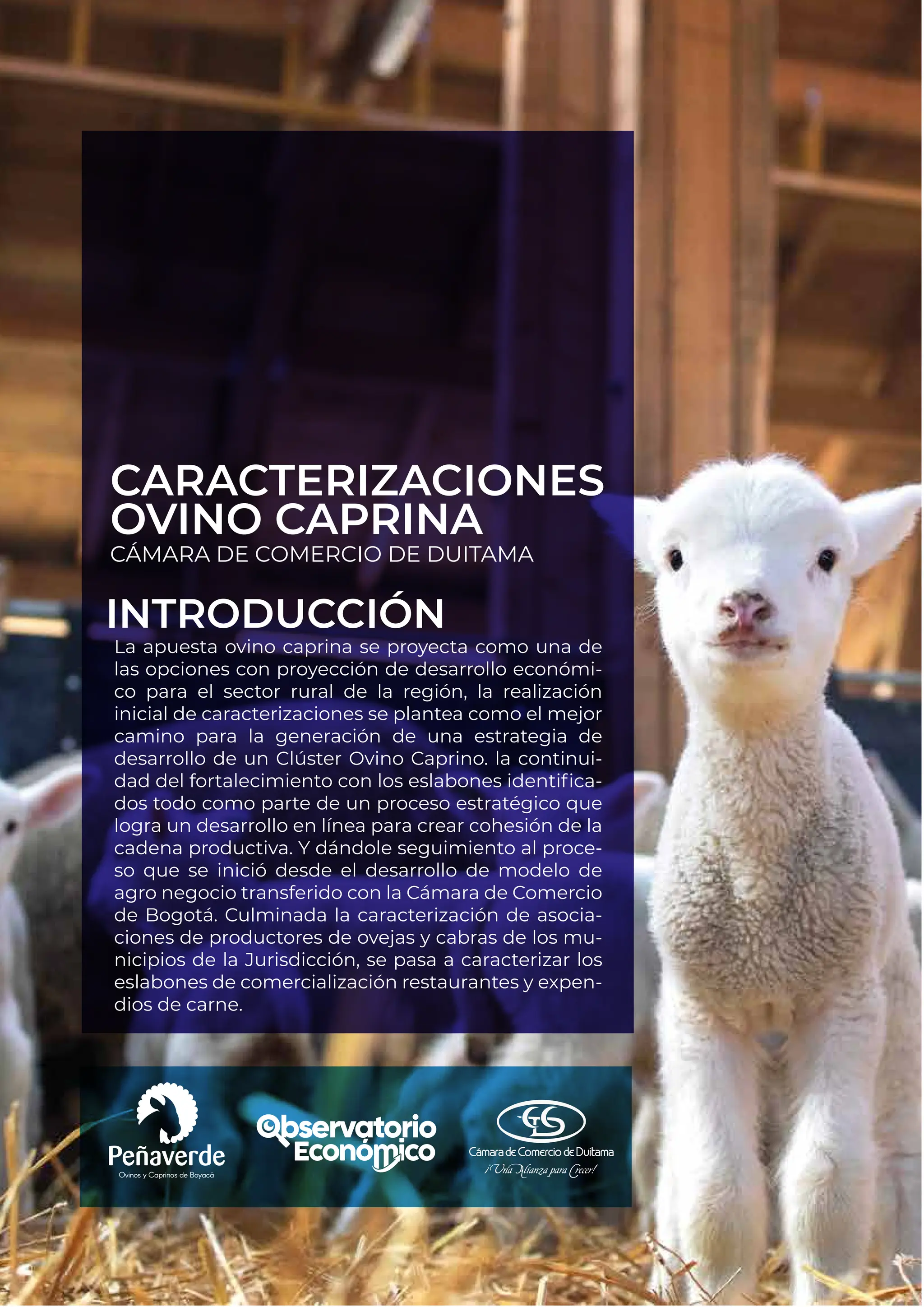 caracterizacion-ovino-caprino.pdf