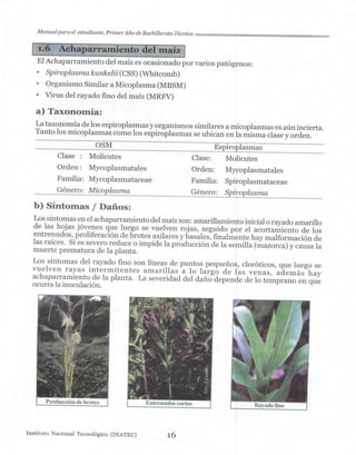 Caracterizacion de plagas en cultivos agrícolas. Pedro Baca | PDF