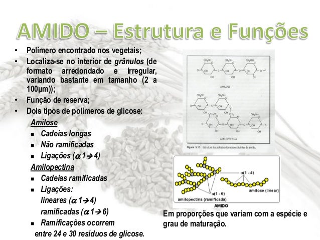 Caracterização bioquímica do amido