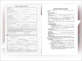 Contracte economice - caracterizare | PPTX