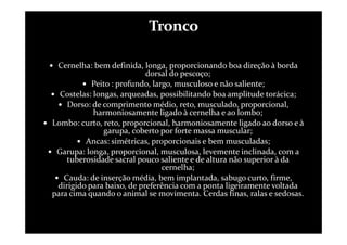Característica raciais - Guzerá, Manga Larga Marchador e Hampshire Down ...