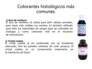 Características tintoriales de las células | PPTX