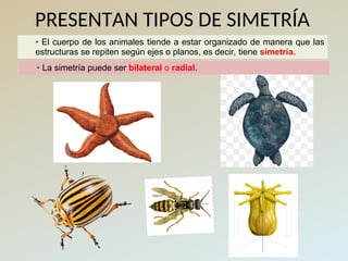 Características animales invertebrados.ppt