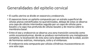 Características Citológicas del Epitelio Cervical Normal.pptx