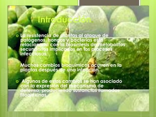 Características de elicitores y fitoalexinas final final | PPTX