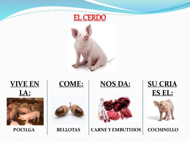 Características de los animales de la granja