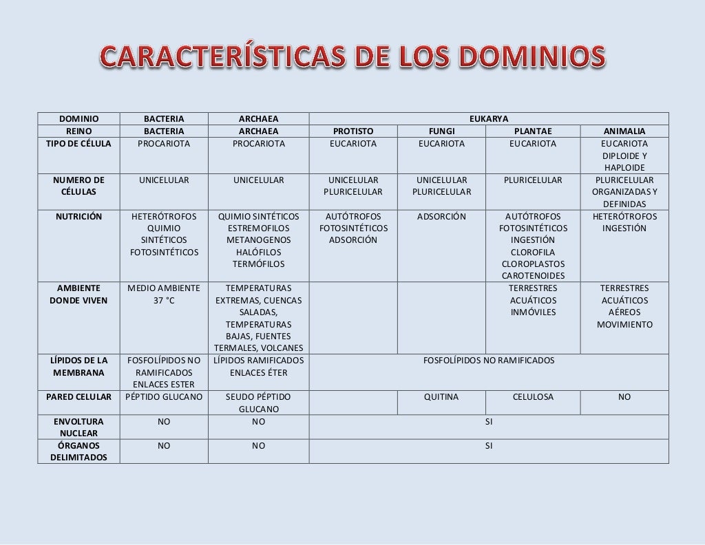 Características de los dominios y reinos... biologia general