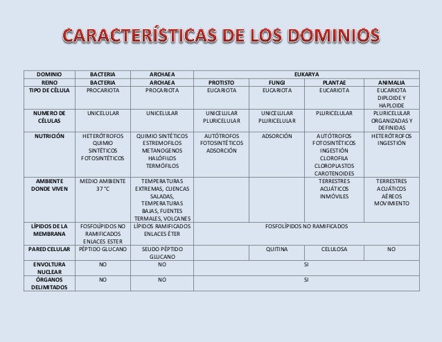 Características de los dominios y reinos... biologia general