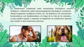 características y funciones de los seres vivos; preproducción y ...