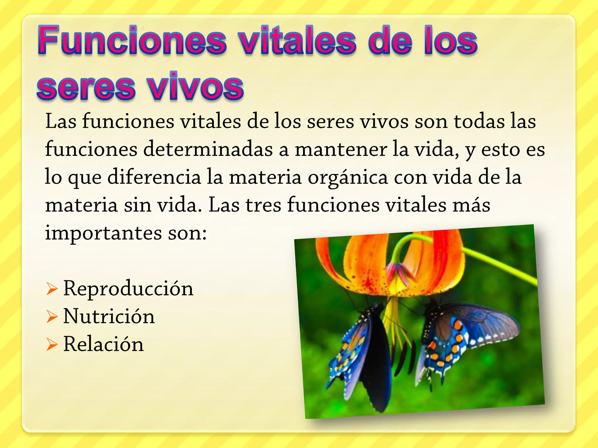 Características y funciones vitales de los seres vivos | PPT