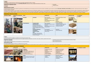 Característiques i tipus materials | PDF