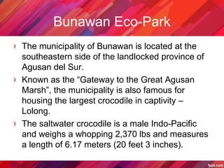 Caraga 1 | PPT