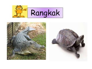 Carahaiwanbergerak 111202172000-phpapp02 | PPTX