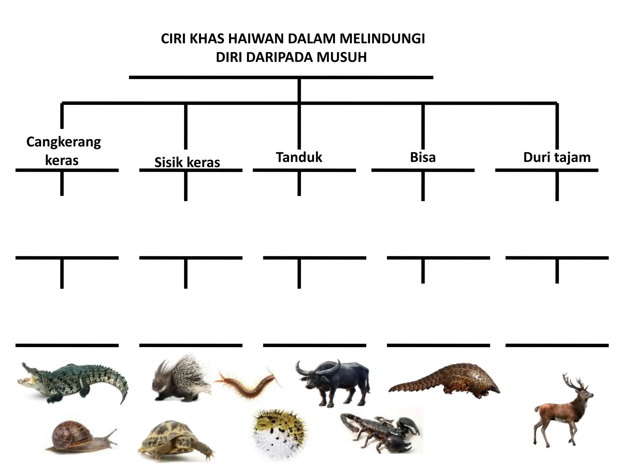 CARA HAIWAN MELINDUNGI DIRI DARIPAA MUSUH.pptx