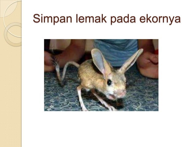 Cara haiwan menyesuaikan diri dengan cuaca melampau | PPTX