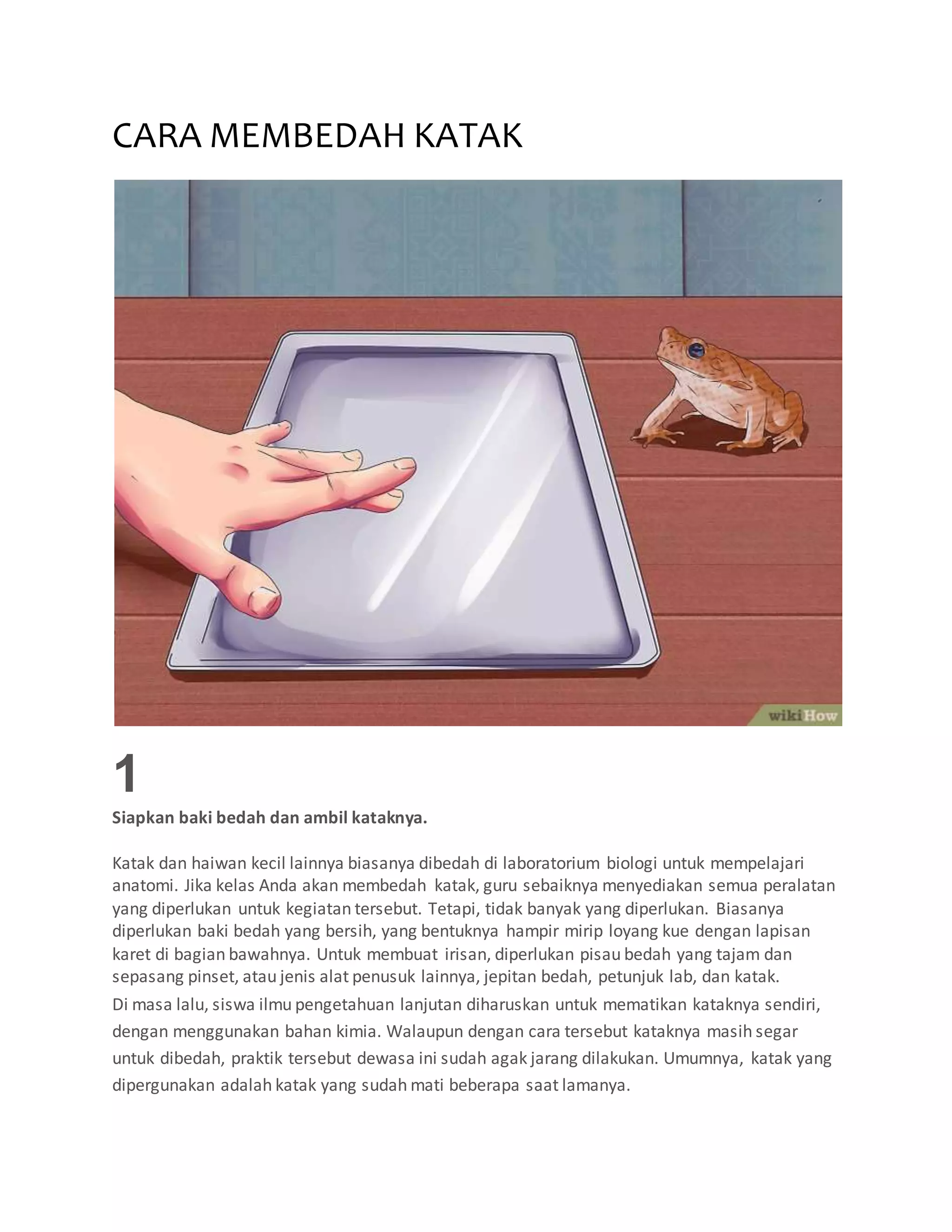 CARA MEMBEDAH KATAK.docx