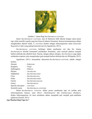 Cara membuat ragi tape | DOCX