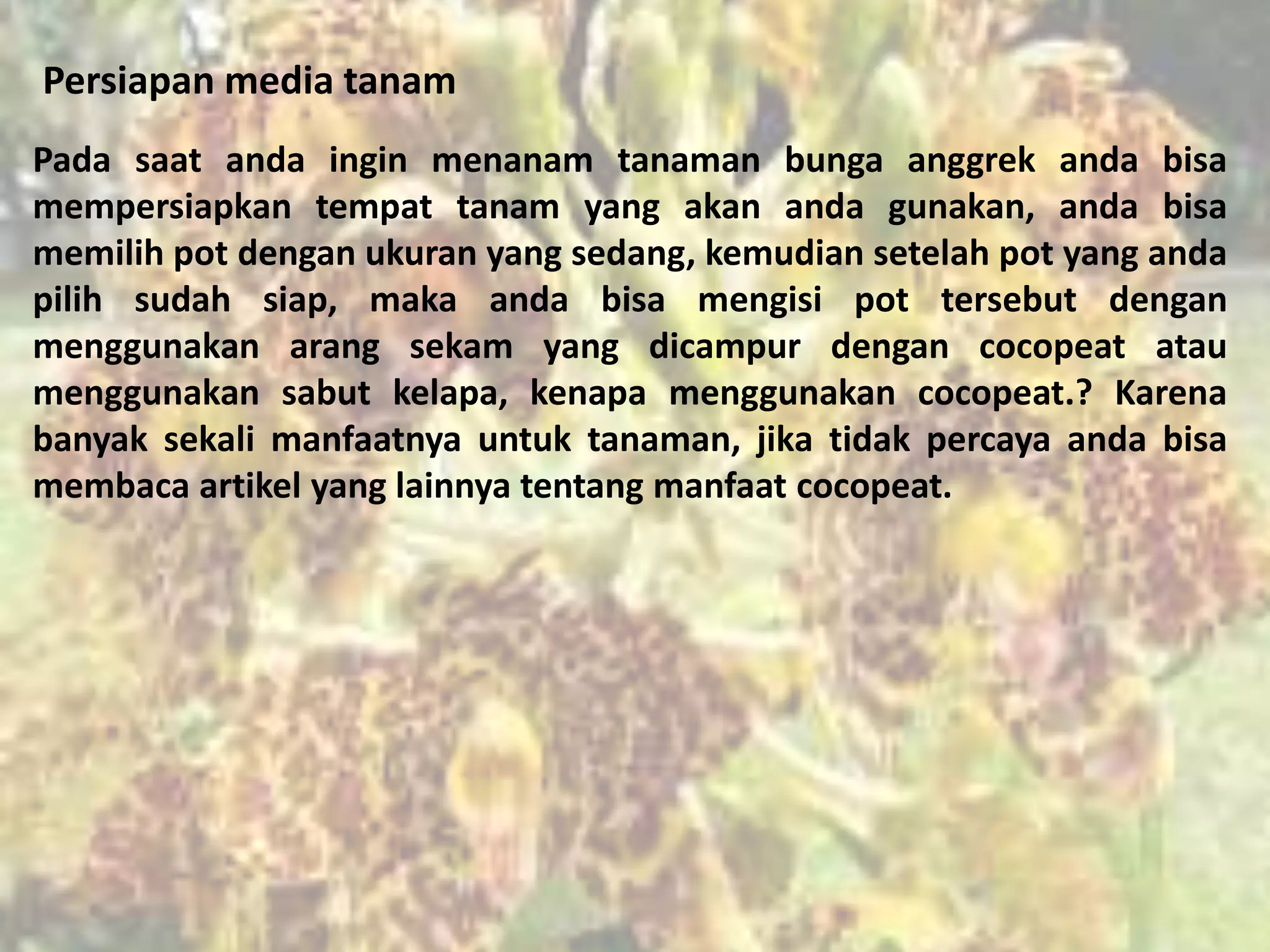Cara menanam dan merawat bunga anggrek | PPTX