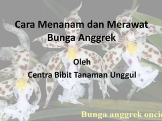 Cara menanam dan merawat bunga anggrek | PPTX