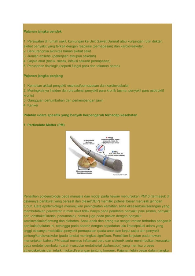 Cara mengatasi pencemaran udara | PDF