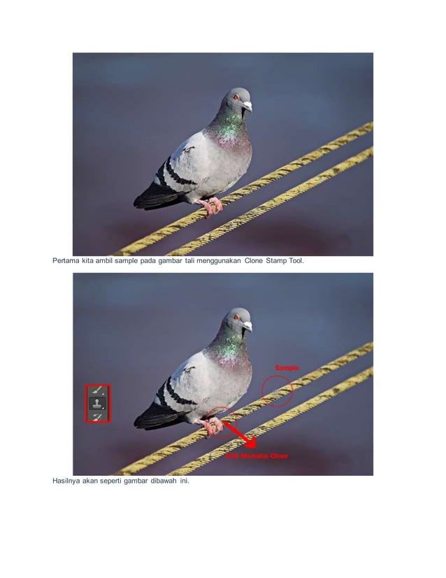 tutorial photoshop indonesia-Cara menghilangkan objek pada foto di photoshop | DOCX