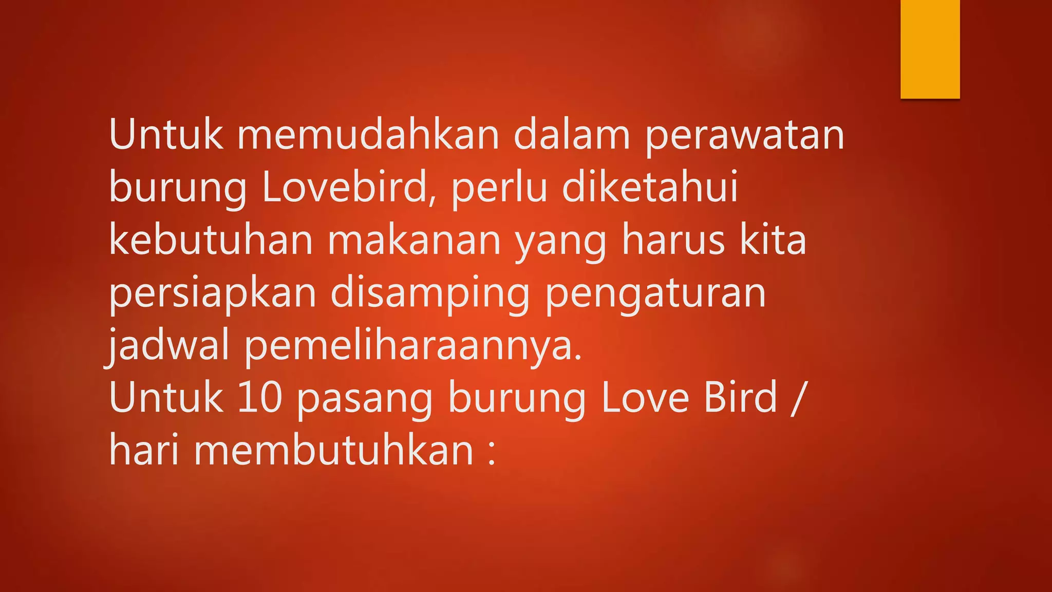 CARA MERAWAT BURUNG LOVEBIRD YANG MUDAH & SIMPEL.pptx