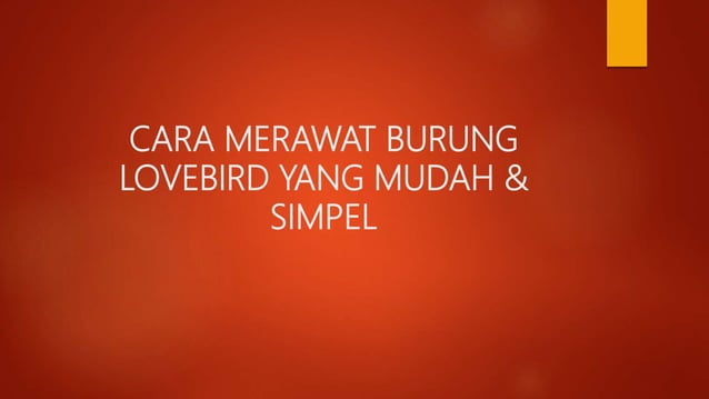 CARA MERAWAT BURUNG LOVEBIRD YANG MUDAH & SIMPEL.pptx