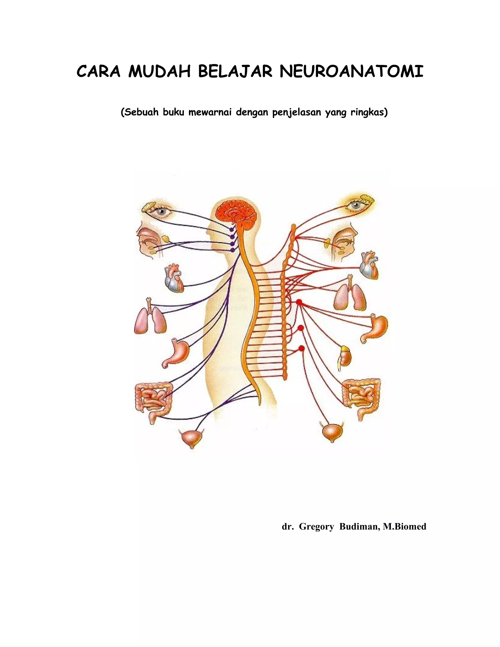 Cara mudah belajar neuroanatomi | DOC